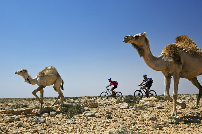 Israel Biking Trip - The AdvenTourist