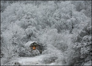 Hermit-Friendly Lifestyle Options for Those Who Prefer To Adventure ...