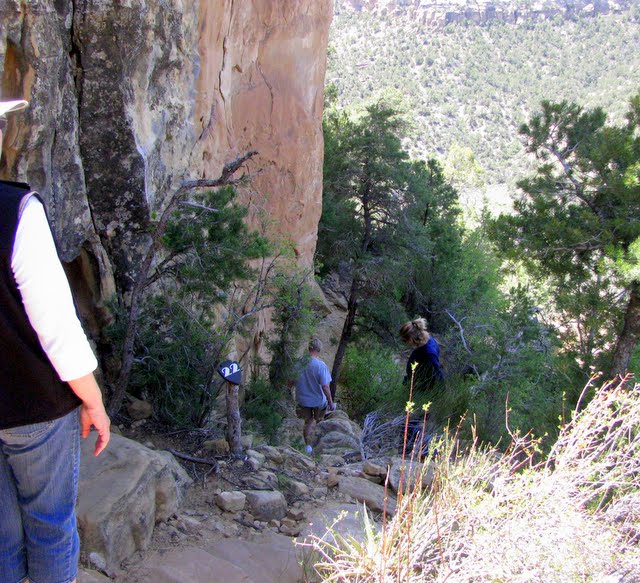 See the Six Hundred Cliff Dwellings of the Pueblo People at Mesa Verde ...