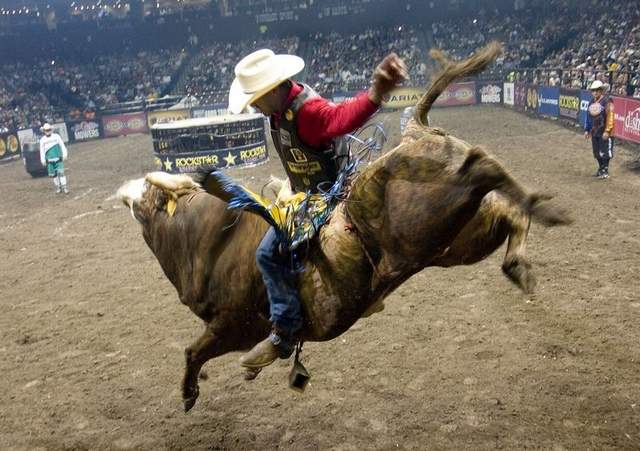 Why Do Some Bull Riders Prefer to Wear a Hat Instead of a Helmet - The ...