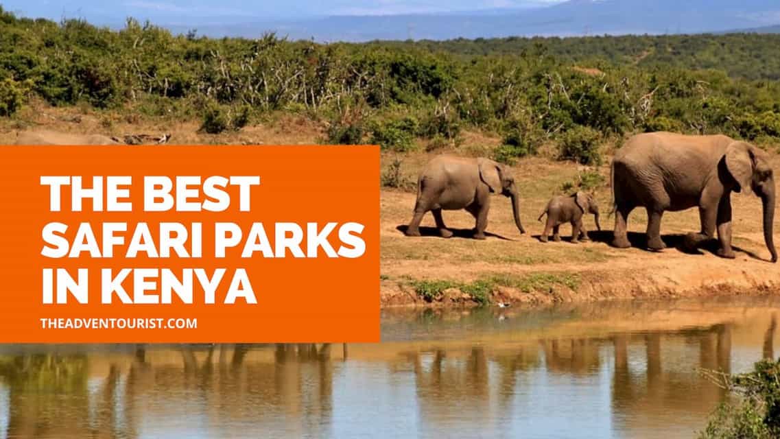 The Best Kenya Safari Parks for Wildlife - The AdvenTourist