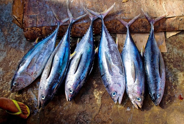 The Most Popular Fish To Eat - The AdvenTourist