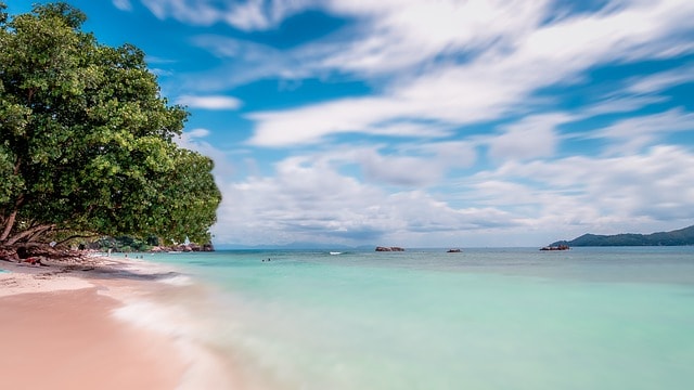 Best Deep Sea Fishing In The World - The AdvenTourist