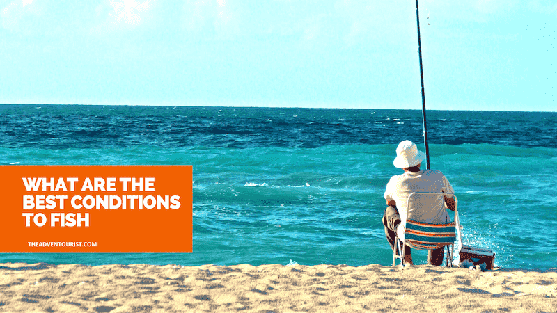 What Are The Best Conditions to Fish - The AdvenTourist