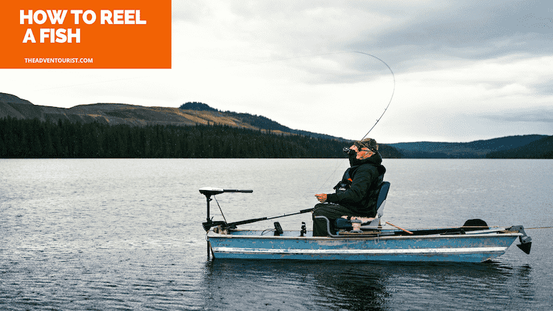 How To Reel A Fish (The Easy Way) - The AdvenTourist