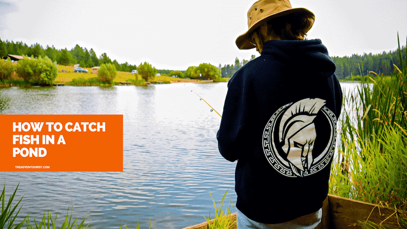How To Catch Fish In A Pond - The AdvenTourist